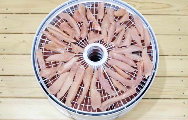 犬と猫の手作りご飯講座 | Emily’s Lab.｜犬と猫の自然療法研究所エミリーズラボ