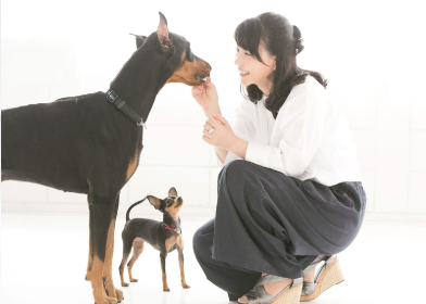 Emily’s Lab.｜犬と猫の自然療法研究所エミリーズラボ | 「一日でも長く健康に生きて欲しい」、そう願いが叶う愛犬・愛猫のためのホーム ...