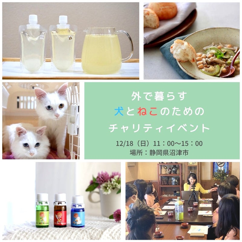 Emily’s Lab.｜犬と猫の自然療法研究所エミリーズラボ | 「一日でも長く健康に生きて欲しい」、そう願いが叶う愛犬・愛猫のためのホーム ...