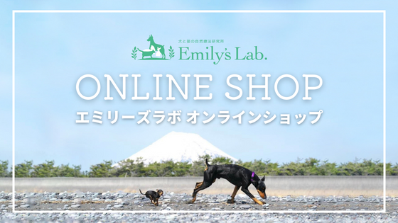 犬と猫のクレイテラピー講座 | Emily’s Lab.｜犬と猫の自然療法研究所エミリーズラボ