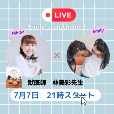 Emily’s Lab.｜犬と猫の自然療法研究所エミリーズラボ | 「一日でも長く健康に生きて欲しい」、そう願いが叶う愛犬・愛猫のためのホーム ...